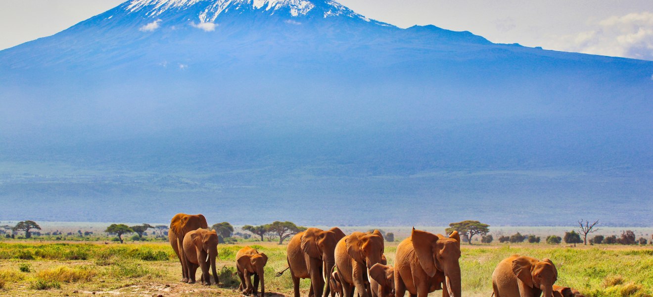 Kenia 2026/2027 – Schönste Orte & Highlights
