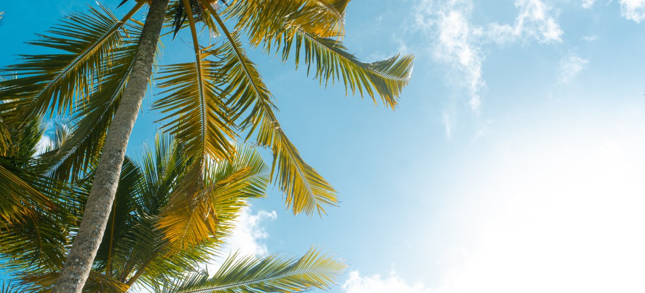 Ihren Urlaub 2025/2026 mit ITS jetzt günstig buchen!