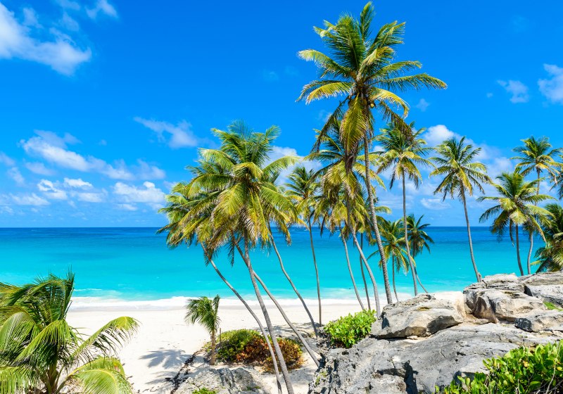 Schönste Orte Barbados – Highlights & Geheimtipps