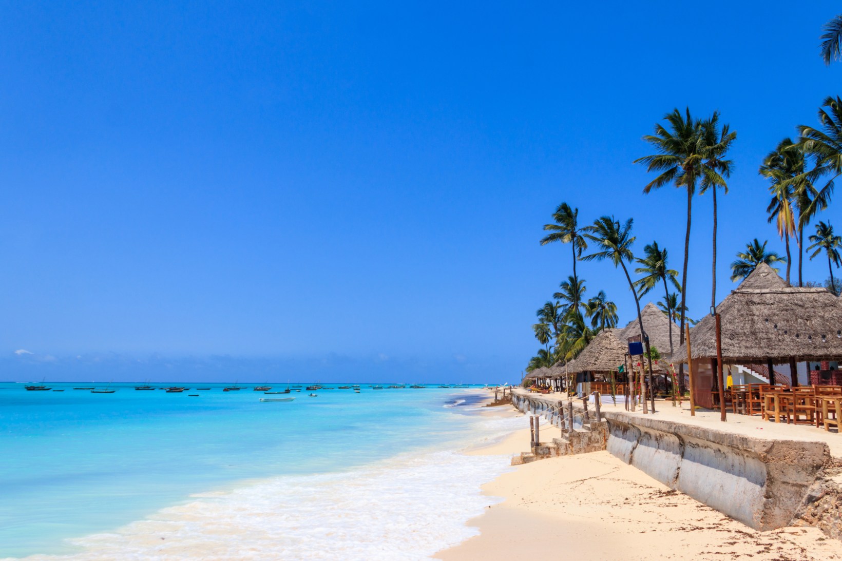 Fabelhafte Beste Reisezeit Tansania Sansibar Ebenbild