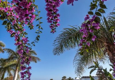 HG Lomo Blanco 2025/2026 | Puerto del Carmen | Lanzarote